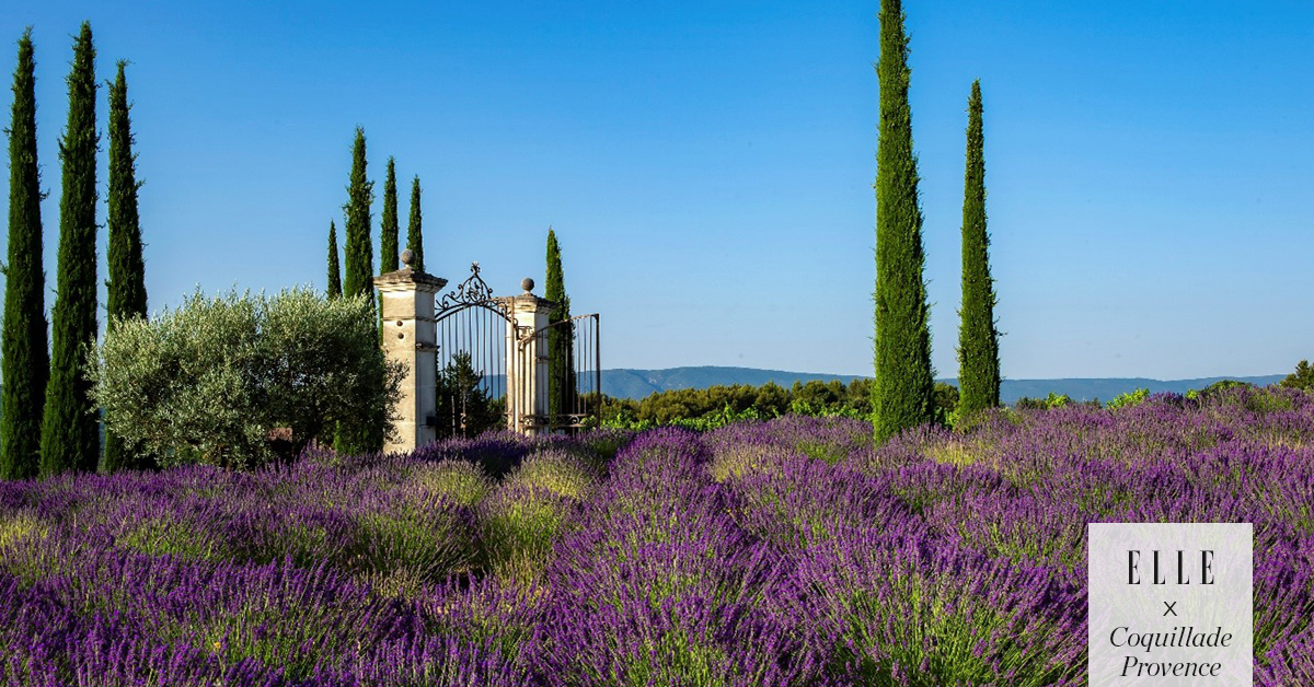 Vacances : où passer l’été au coeur de la Provence ? - ELLE.be