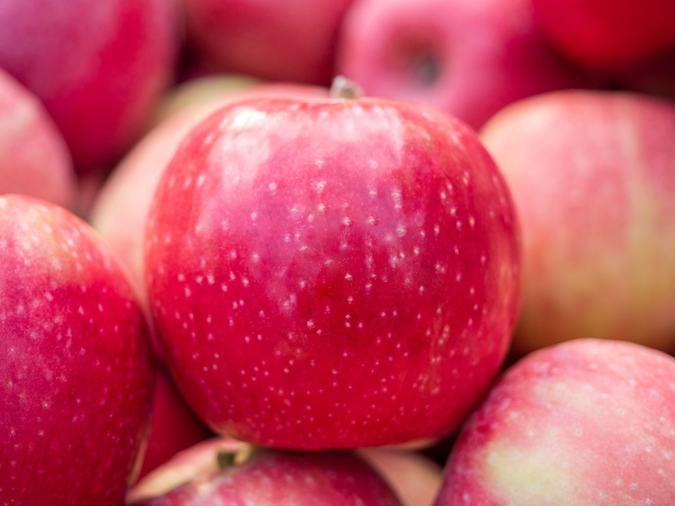 De blozende Pink Lady, een appel met groene waarden - ELLE.be