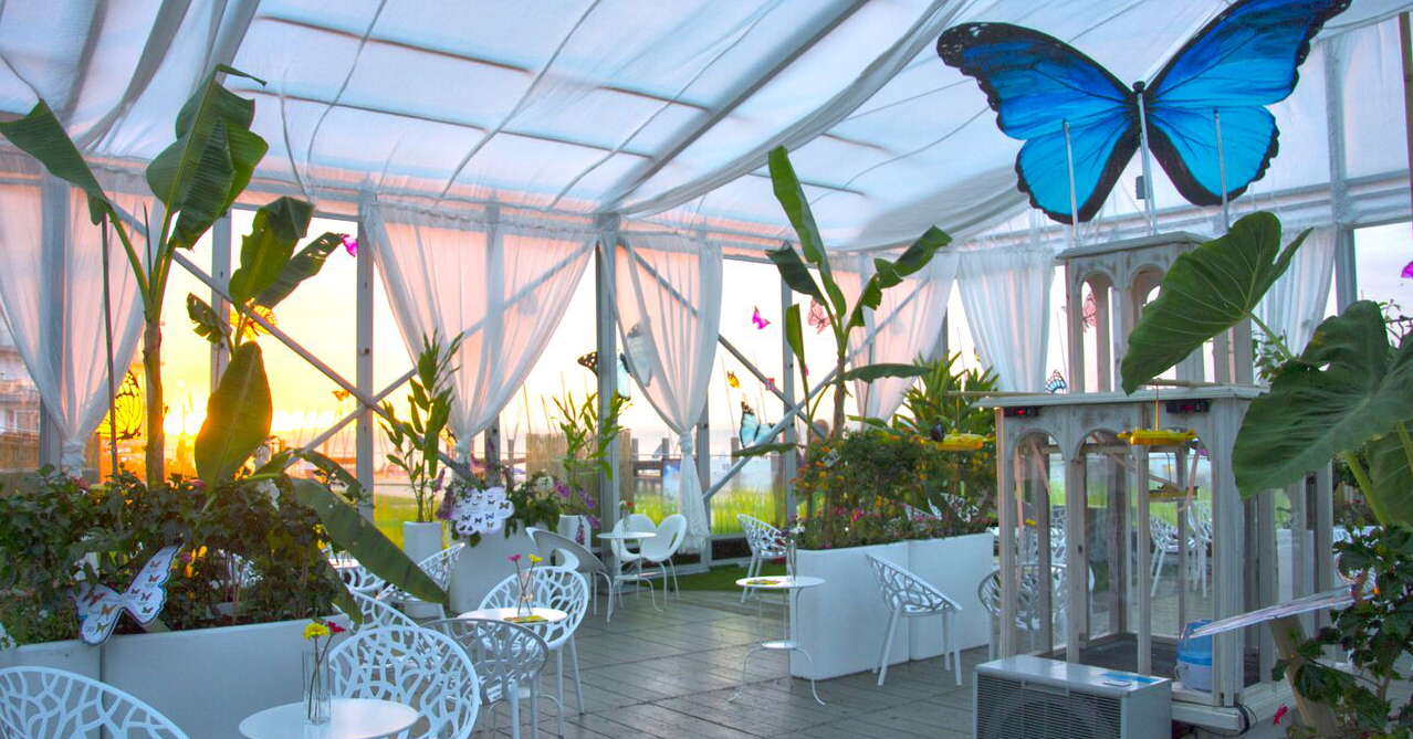 Insta hotspot: deze exotische vlinderbar moet je gezien hebben - ELLE.be