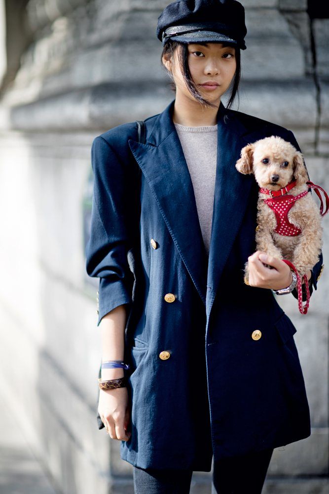 Vergeet it-bags, hier zijn de fashion dogs! - ELLE.be