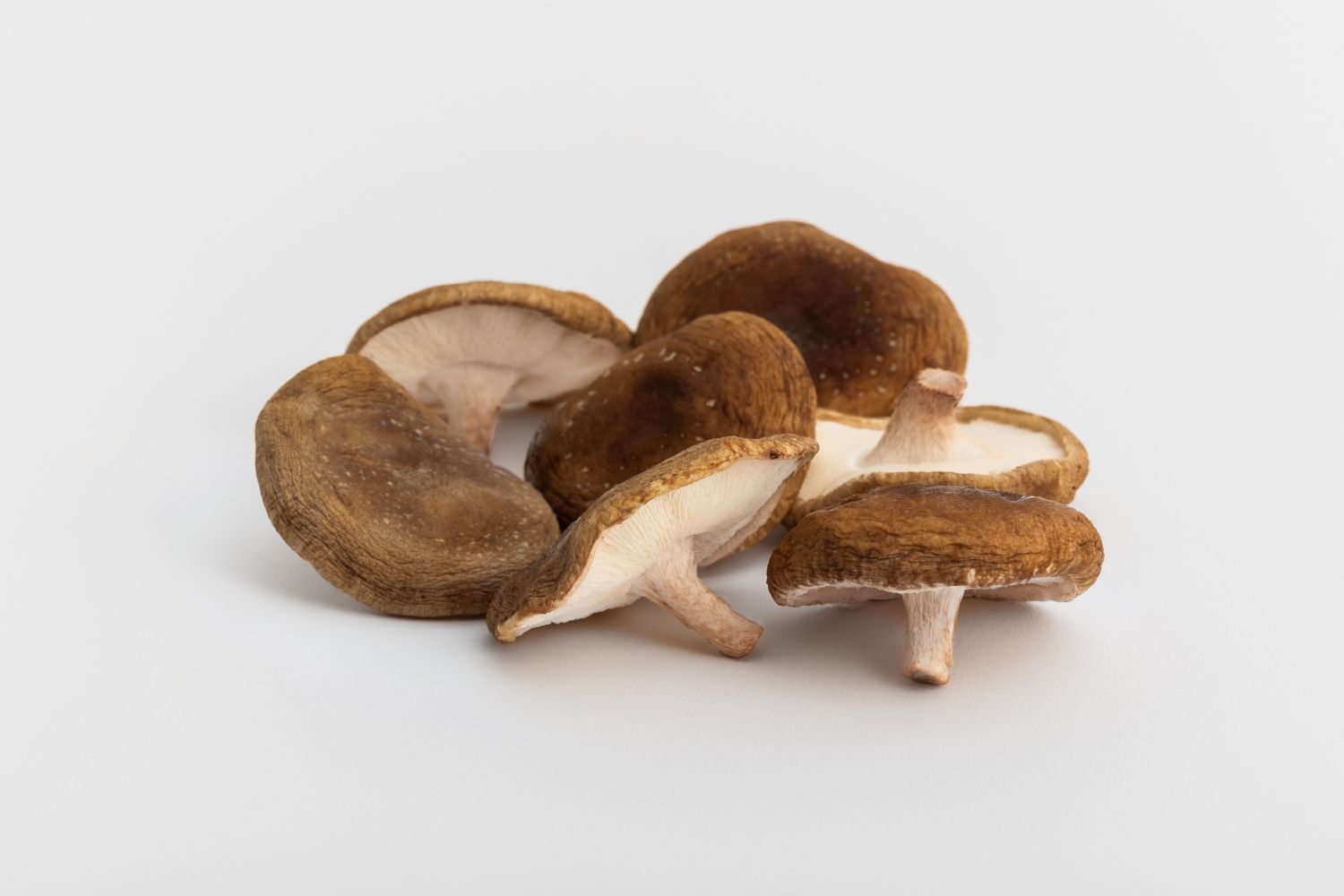 Europese champignons, de sterren van onze feestelijke recepten - ELLE.be