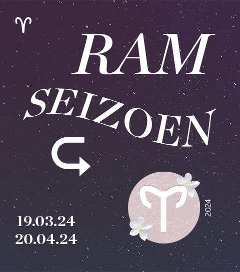 Hallo Aries Season! Wat gebeurt er met je sterrenbeeld in het ram-seizoen?